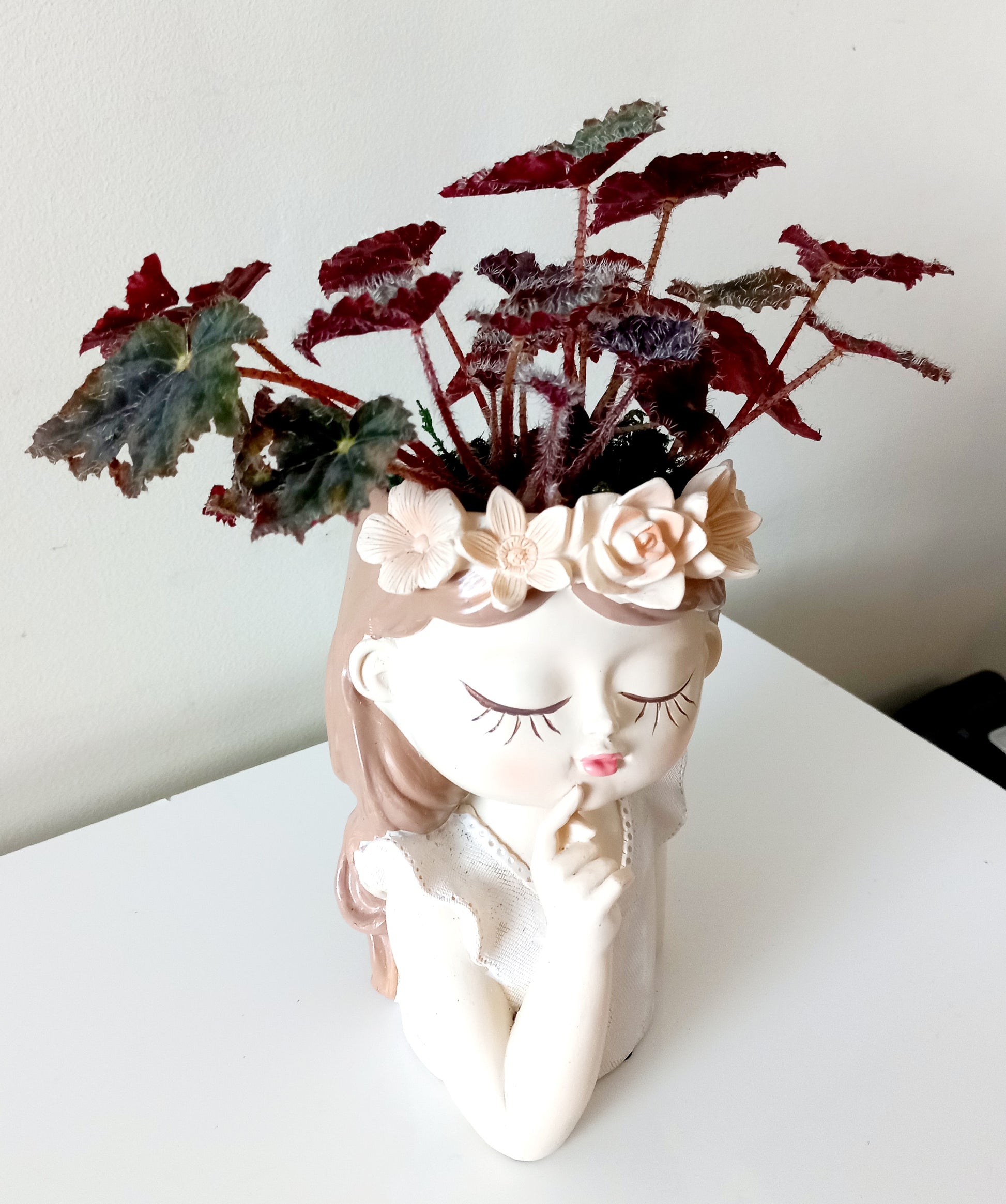 Fairy princess planter pot with begonia Rex indoor plants - Fantasy Gi ...